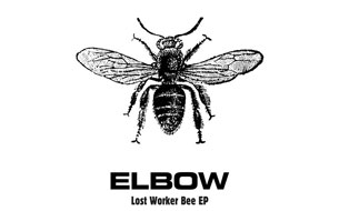 elbow | Official Site